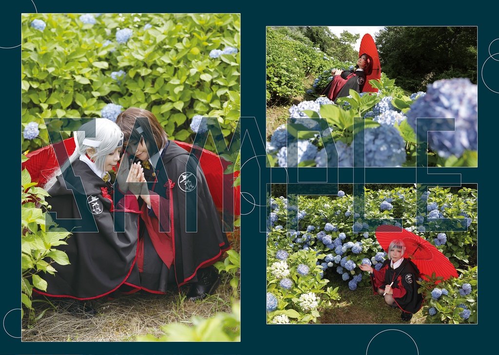 Hydrangea - @ZERO - BOOTH