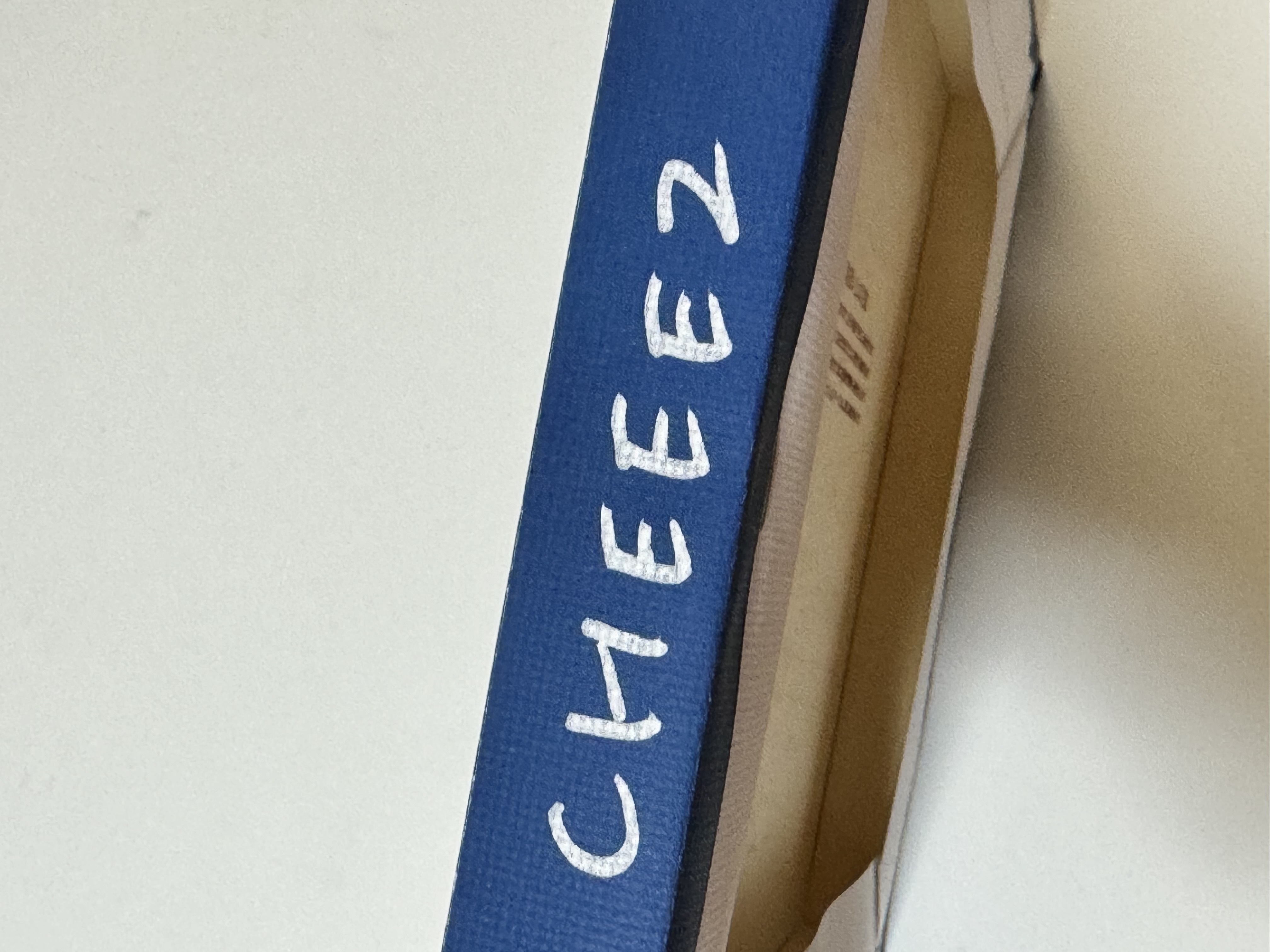 金魚 - cheeez - BOOTH