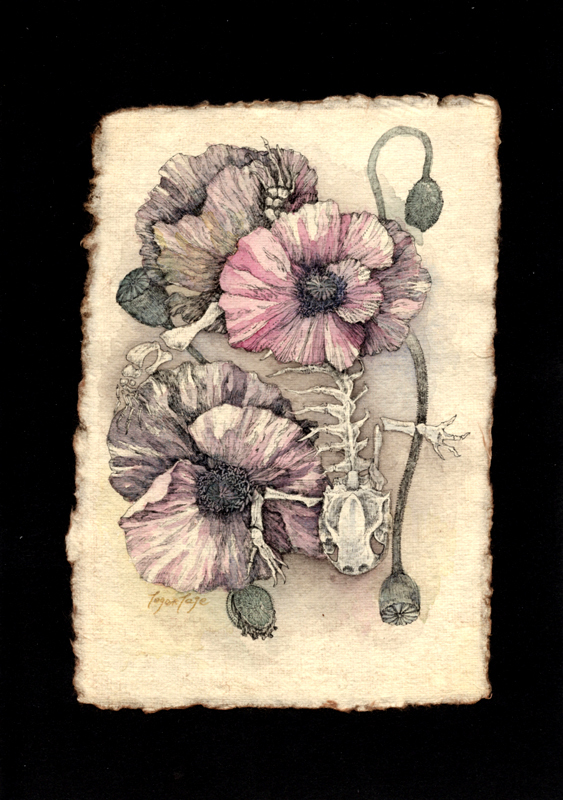 蜥蜴の夢 - tege*tege - BOOTH