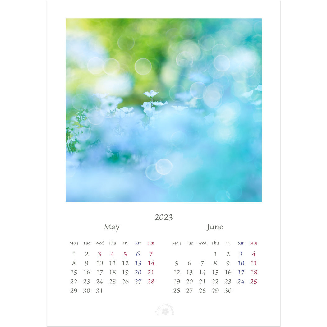 フラワーフォトカレンダー2023（2L版） - ふぉと＊ももな - BOOTH