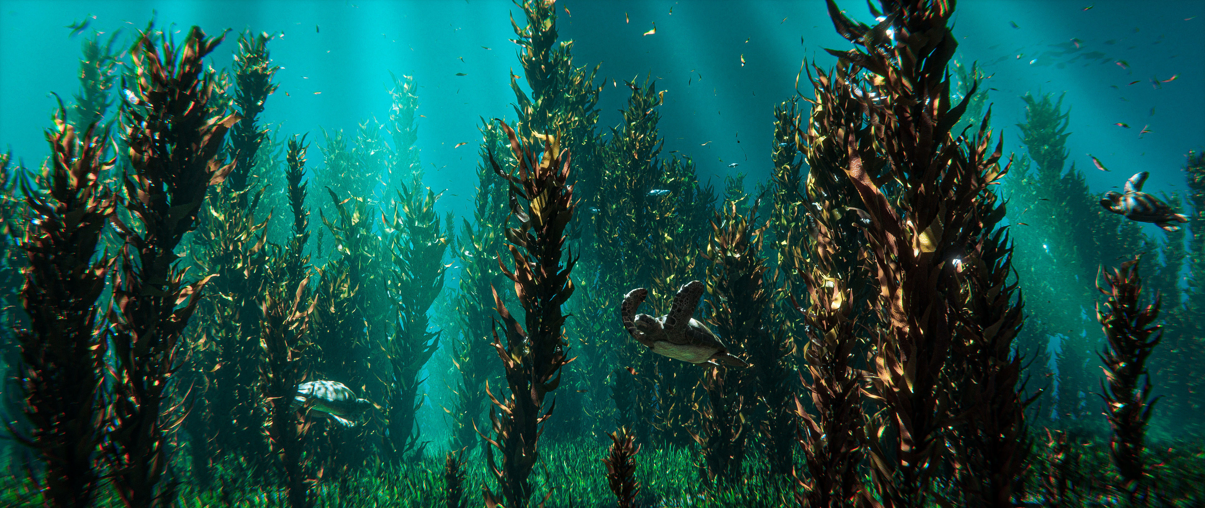 Coral And Creatures Collection fish 3D - creator studios - BOOTH