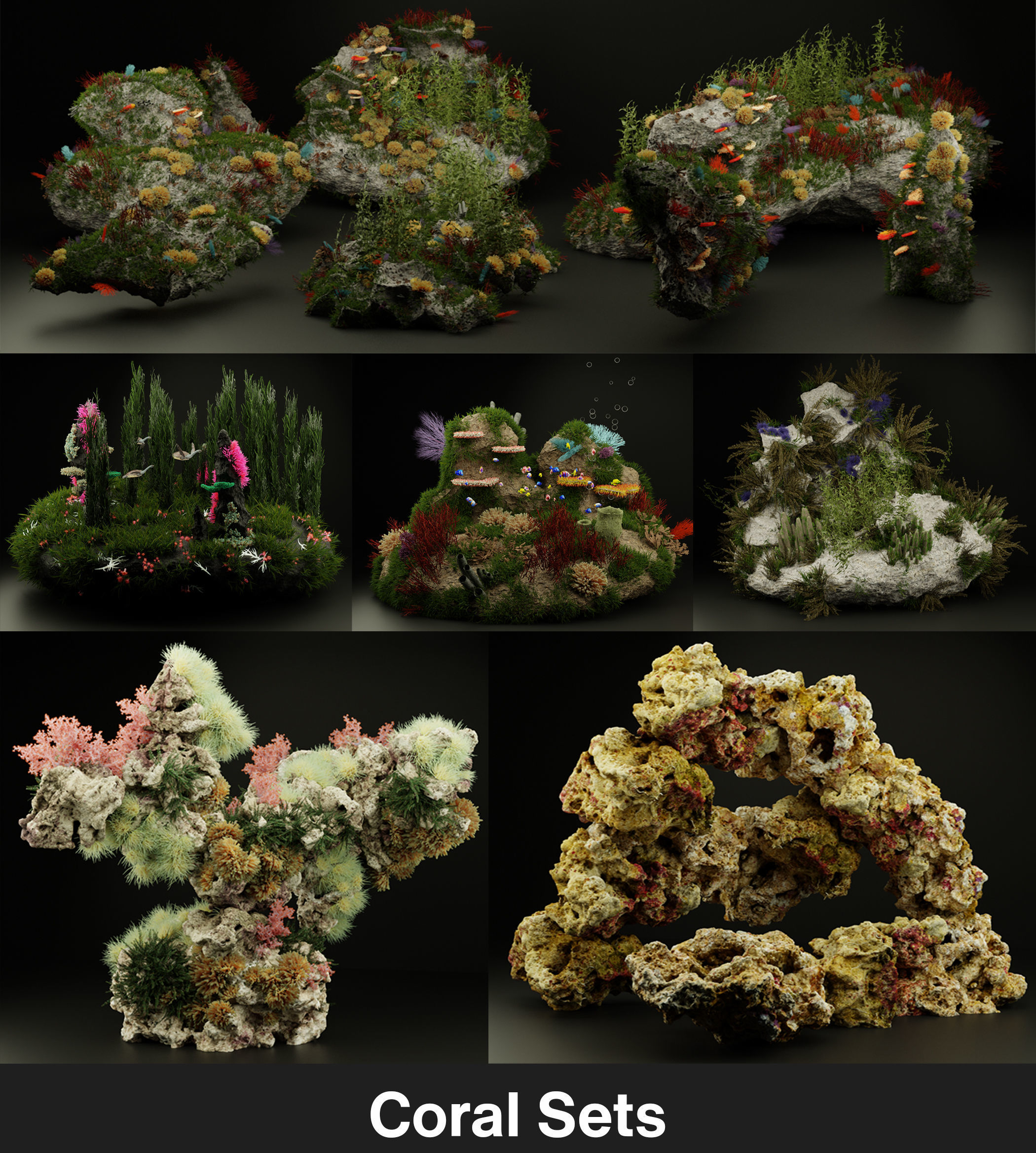 Coral And Creatures Collection fish 3D - creator studios - BOOTH