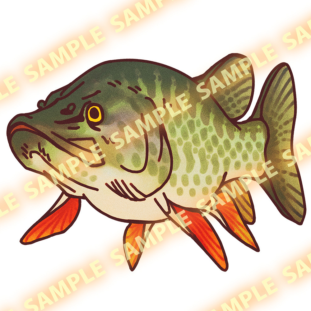 The Muskie - KMBK ARKADIA 1219 - BOOTH