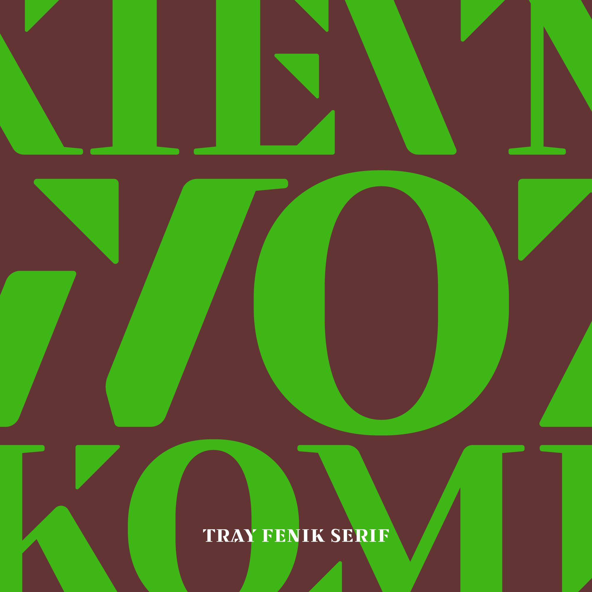 欧文フォント「Tray Fenik Serif」 | Tray Fenik Serif Font - Tabun - BOOTH