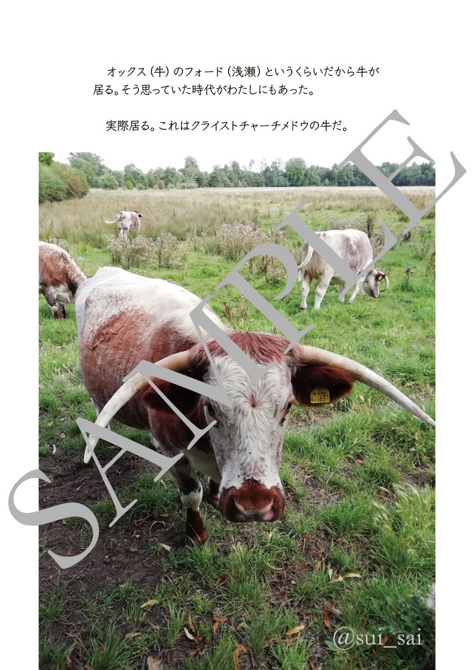 【頒布終了】Sketches in Oxford 2023 - sui-sai - BOOTH