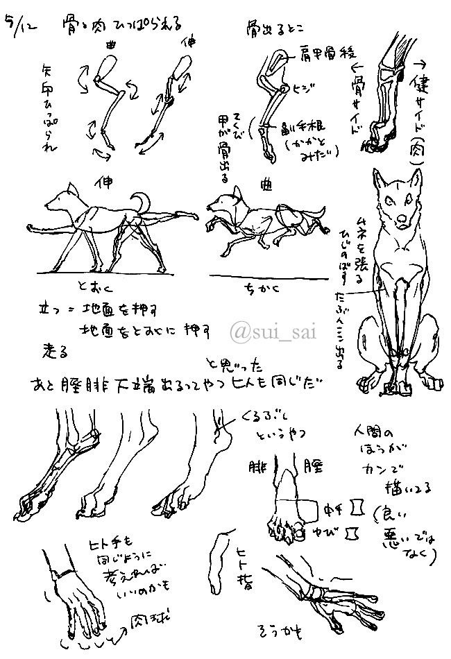 【頒布終了】イヌ描き練習録 - sui-sai - BOOTH