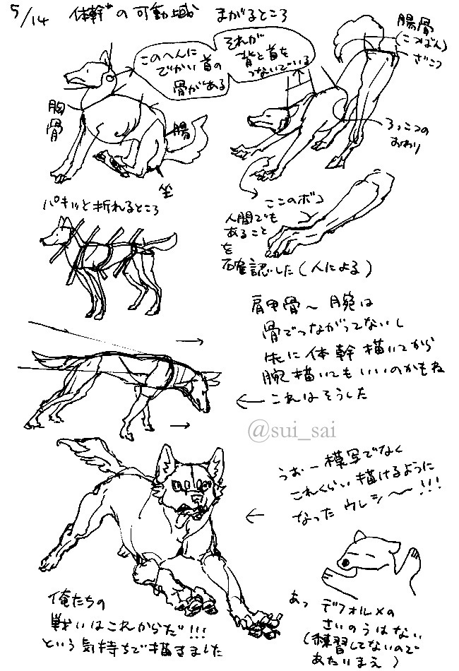 【頒布終了】イヌ描き練習録 - sui-sai - BOOTH