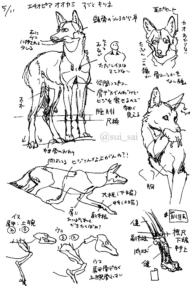 【頒布終了】イヌ描き練習録 - sui-sai - BOOTH