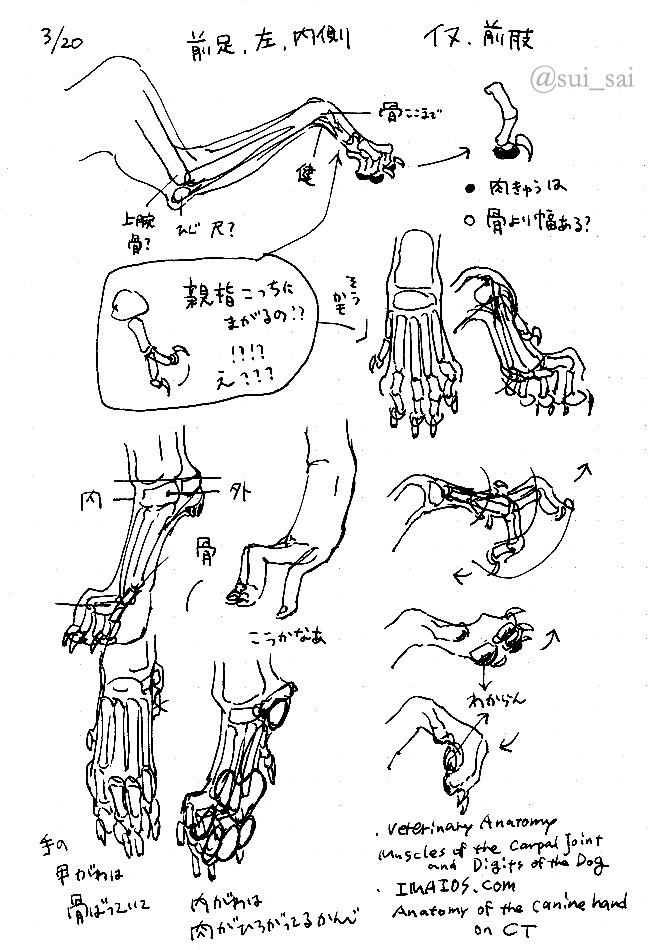 【頒布終了】イヌ描き練習録 - sui-sai - BOOTH
