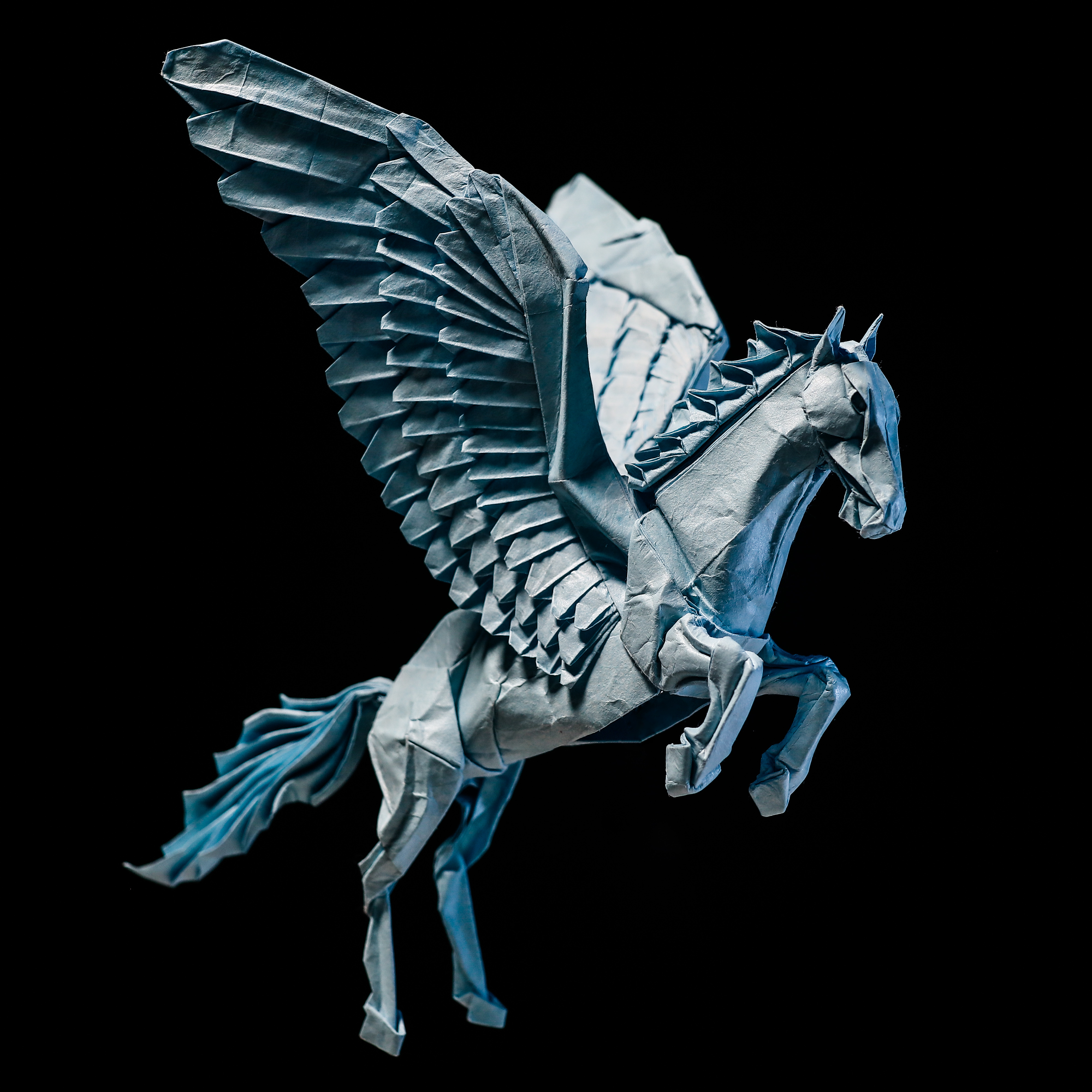 Pegasus 2025 CP(Crease Pattern) - origami-kimiro - BOOTH
