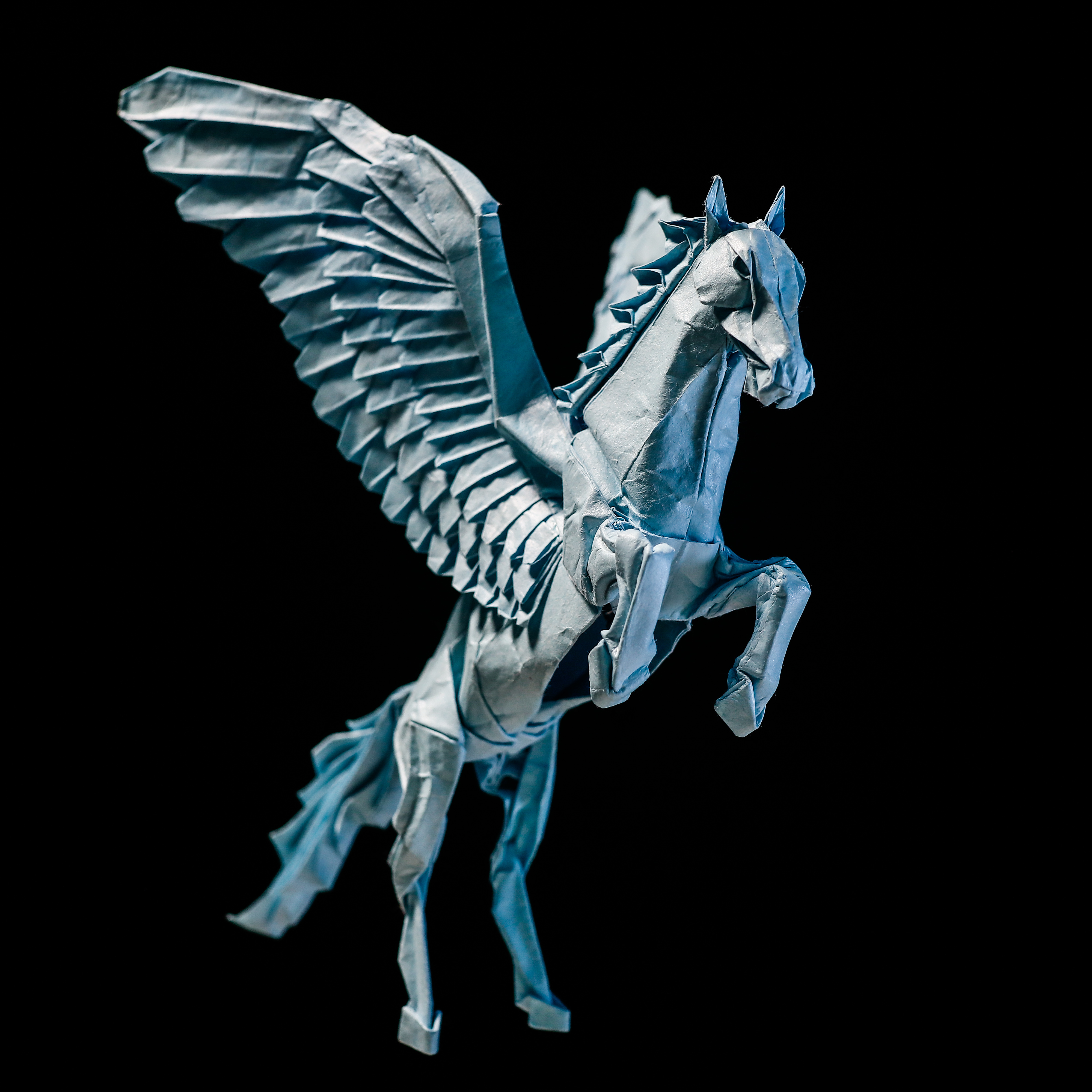 Pegasus 2025 CP(Crease Pattern) - origami-kimiro - BOOTH