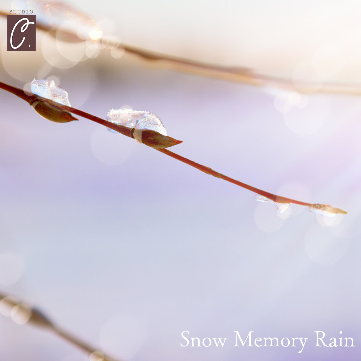 Snow Memory Rain - StudioComodo - BOOTH
