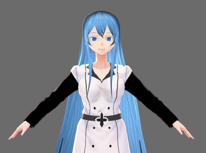 エスデス 3D MODEL ESDEATH 3D MODEL AKAME GA KILL - chiarashop - BOOTH
