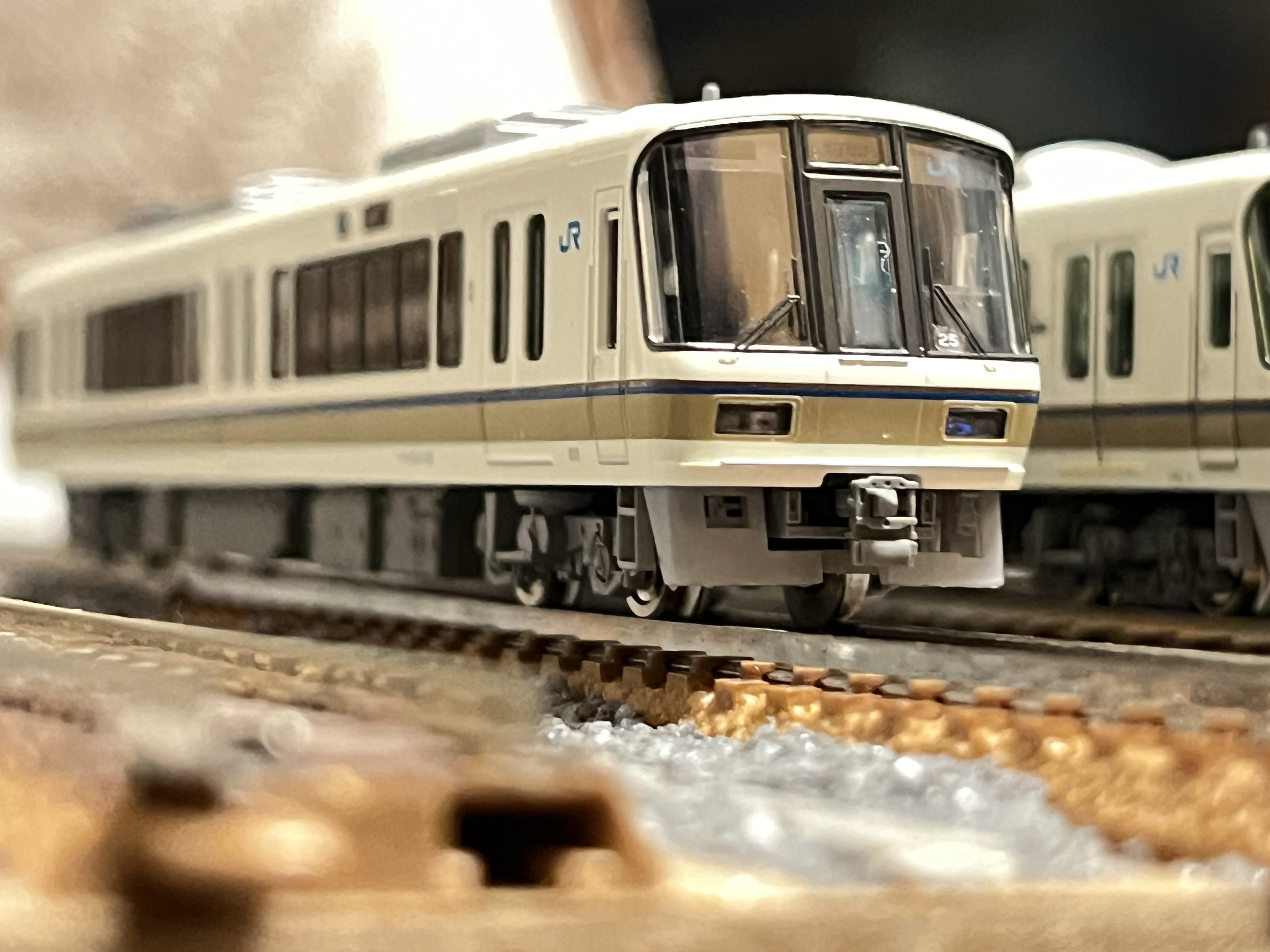 1030A 221系スカート（登場時仕様・TOMIX車用） - 愛岐車両センター - BOOTH