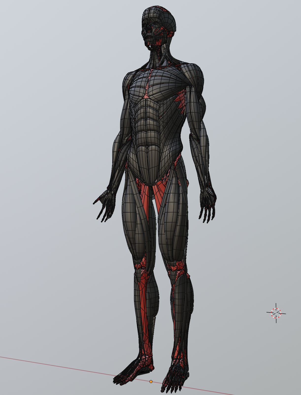 昔作った男の美術解剖学モデル - krrk anatomy - BOOTH