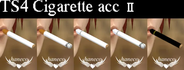 haneco ts4 cigarette acc02 - HANECO's BOX - BOOTH