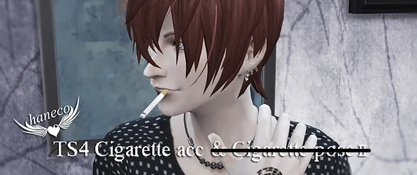 haneco ts4 cigarette acc02 - HANECO's BOX - BOOTH
