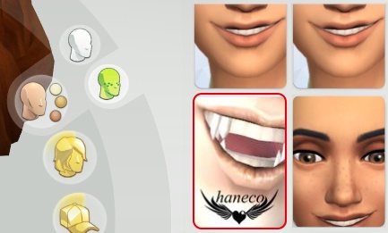 TS4 dogtooth - HANECO's BOX - BOOTH