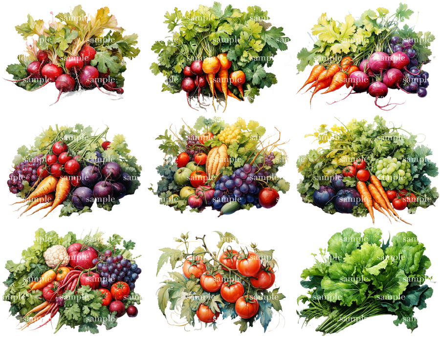 【透過素材38点】野菜（svg/png/pdf） - sozaiya-create - BOOTH