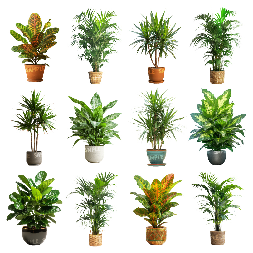 【透過素材50点】観葉植物（png） - sozaiya-create - BOOTH