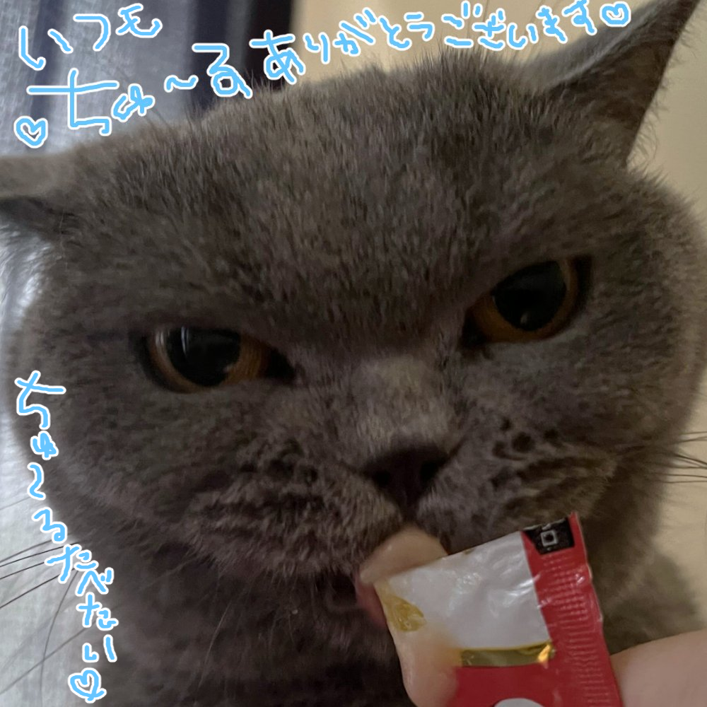 40種類 +@ ⌇ Charmy pose .+ - sss - BOOTH