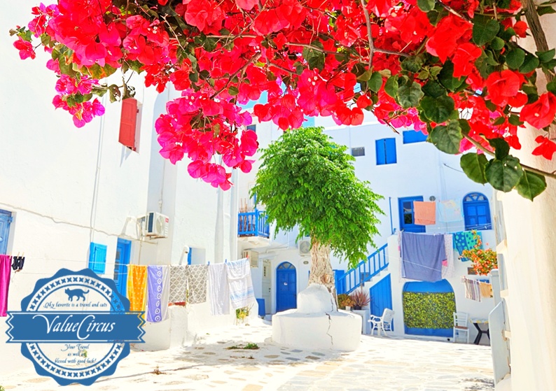 【C104新刊】Meow＆Yummy！ ドバイ・ギリシャ編 - valuecircus - BOOTH