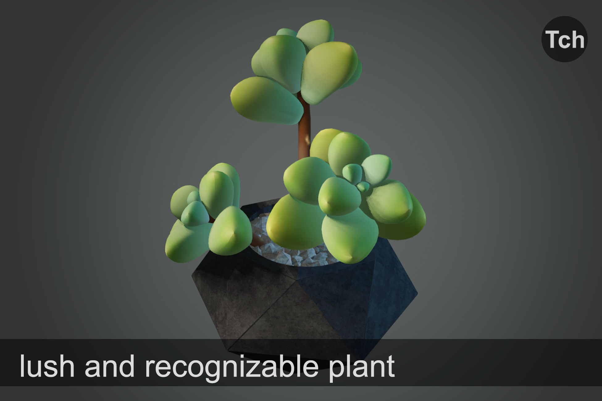 3D Mint sedum : succulent in a pot || 3D ミントセダム: 鉢植えの多肉植物 - tochechka - BOOTH
