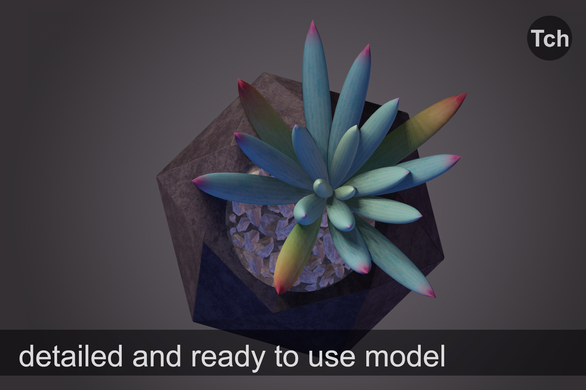 3D Violet senecio : succulent in a pot || 3D バイオレット セネシオ: 鉢植えの多肉植物 ...