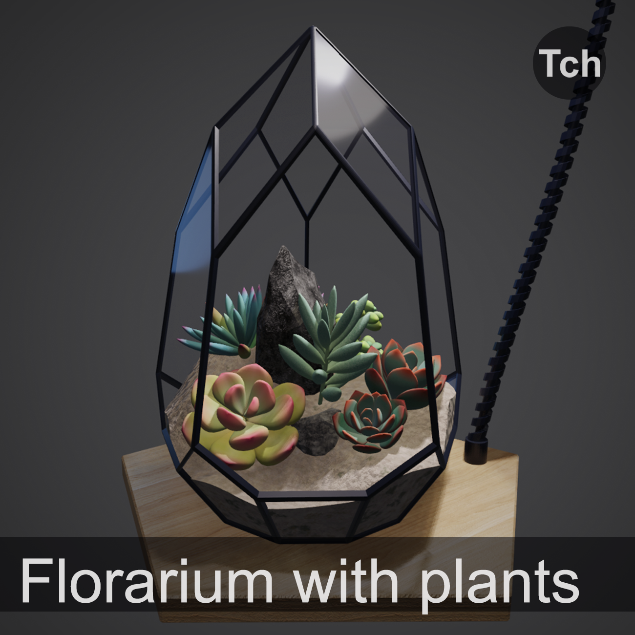 3D Florarium with succulents || 3D 多肉植物を使ったフローラリウム - tochechka - BOOTH