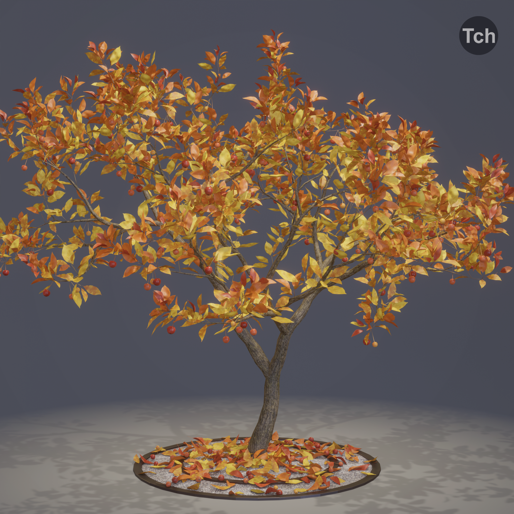 Four seasons tree (3D) | 四季の木 (3D) - tochechka - BOOTH