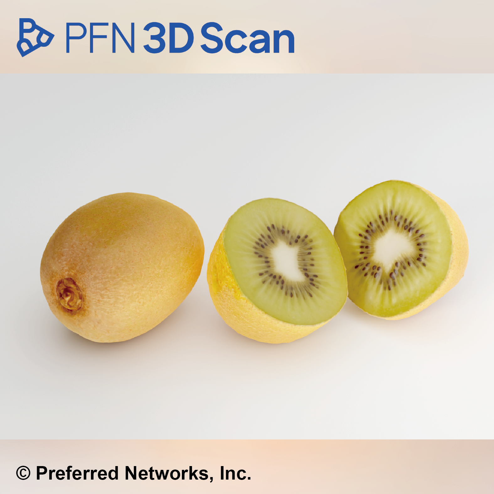 【PFN 3D Scan】キウイフルーツ（3点セット） - PFN 3D Scan 公式 - BOOTH
