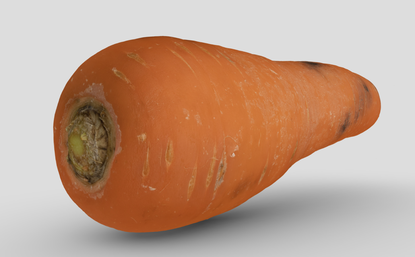 ニンジン(3Dスキャン) - photogrammetry - BOOTH