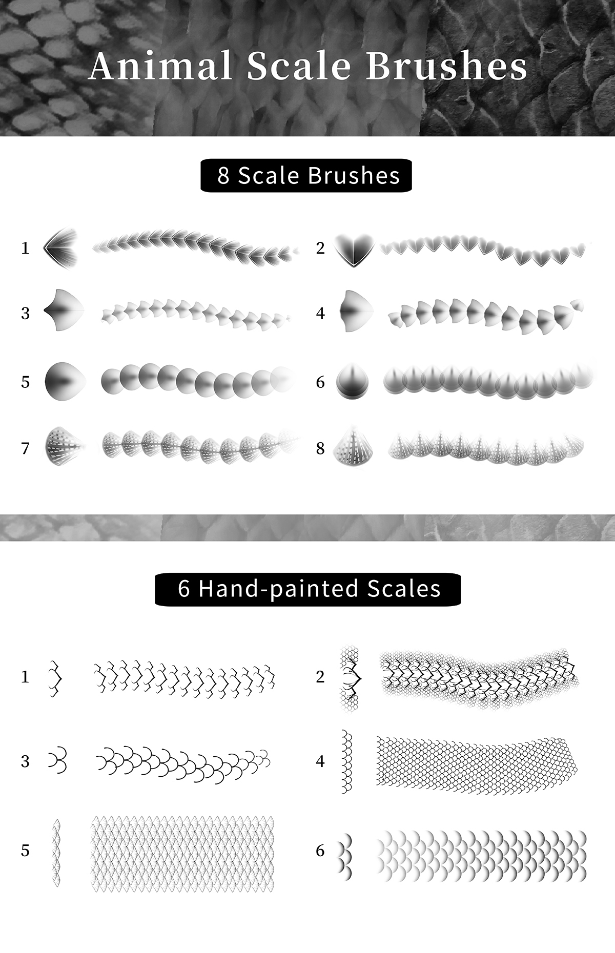 【CLIPSTUDIO PS PROCREATE用】動物の鱗ブラシ - lizyin - BOOTH