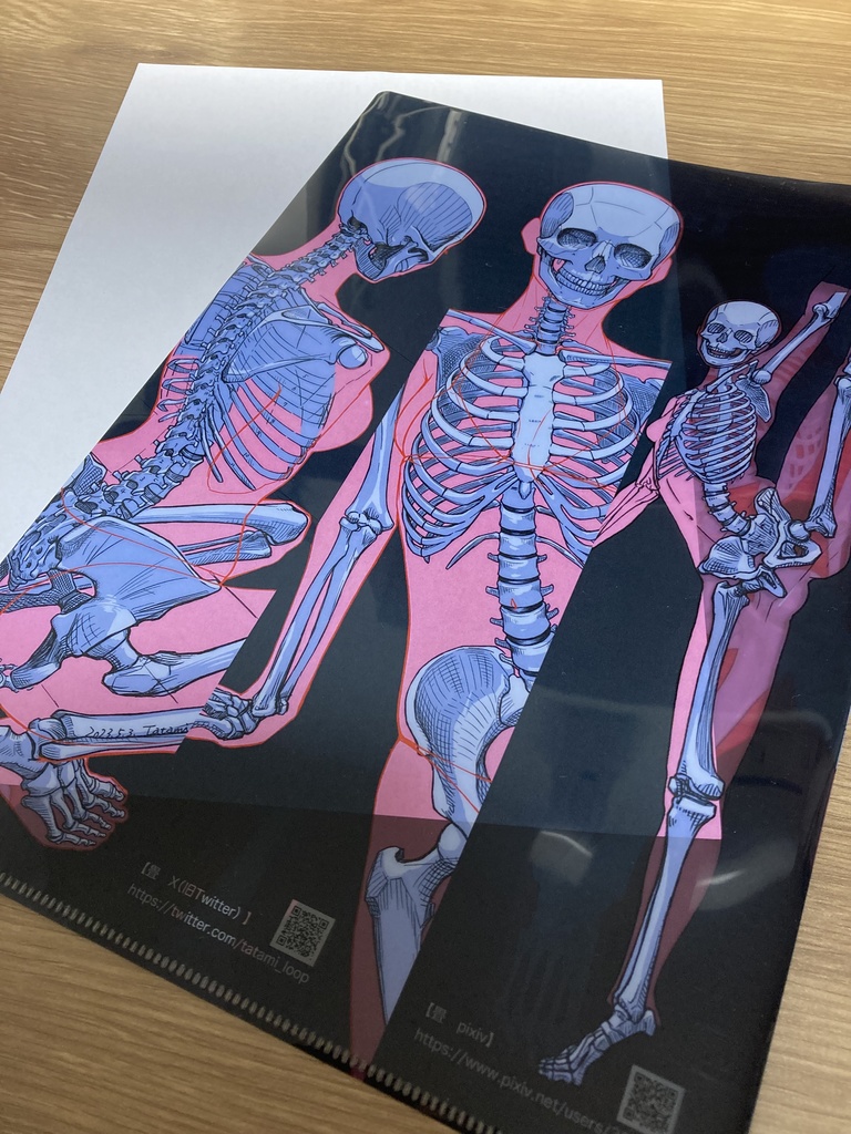 A4半透明クリアファイル(Insights) - 畳＠loop - BOOTH