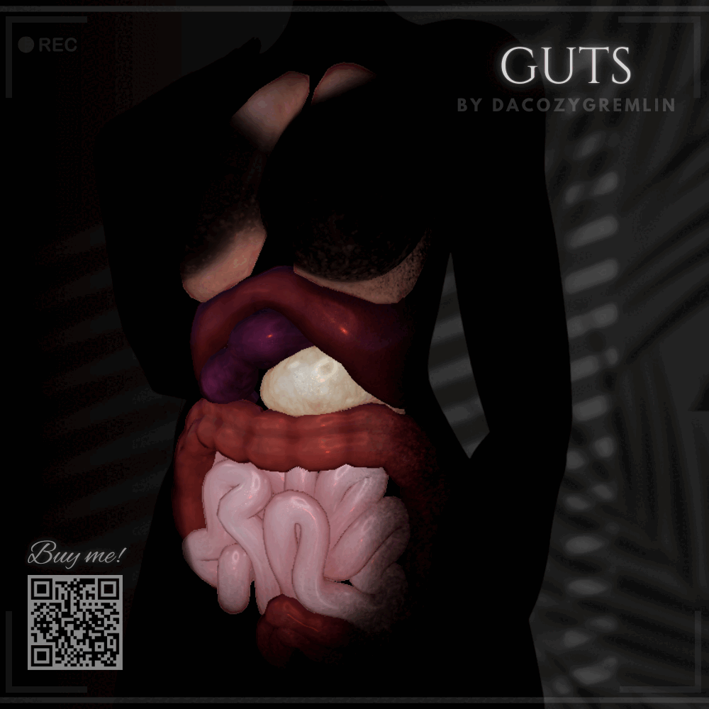 Guts - VrEgirl/Anybase - !Read description! - dacozygremlin - BOOTH