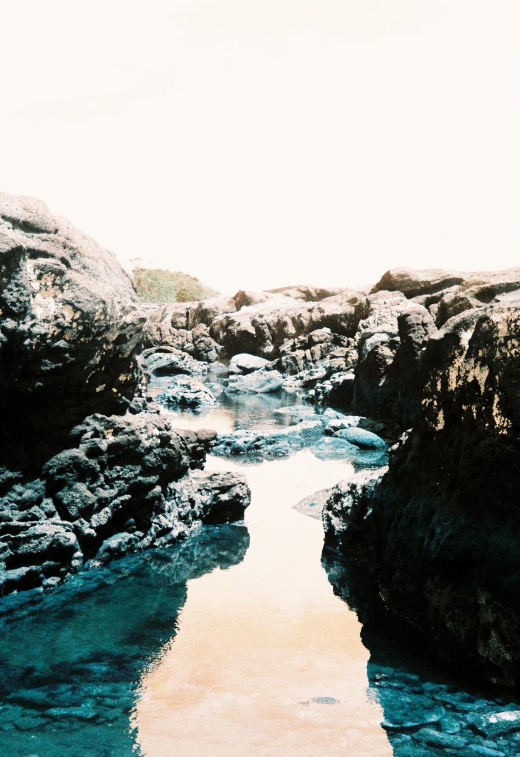 【委託】Transient Quest - さらさら通販 - BOOTH