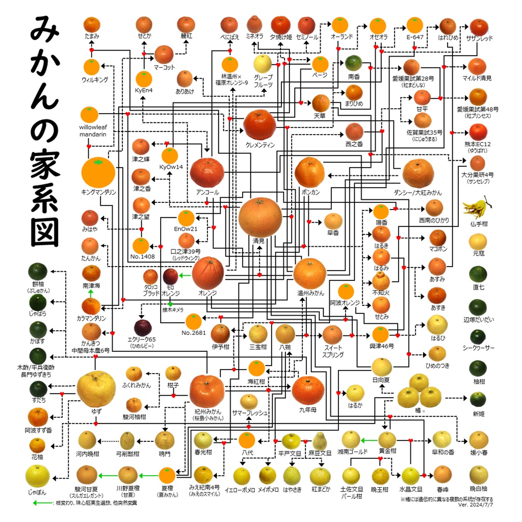 みかん図鑑（ゆうメール） - mikan-note - BOOTH