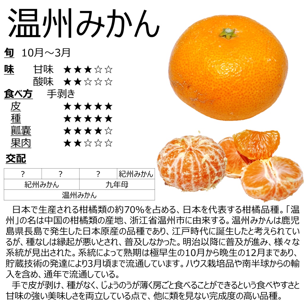 みかん図鑑（ゆうメール） - mikan-note - BOOTH