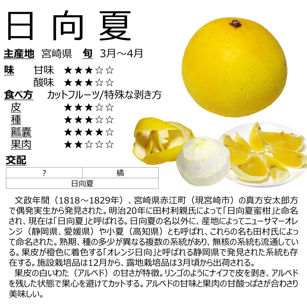 みかん図鑑（ゆうメール） - mikan-note - BOOTH