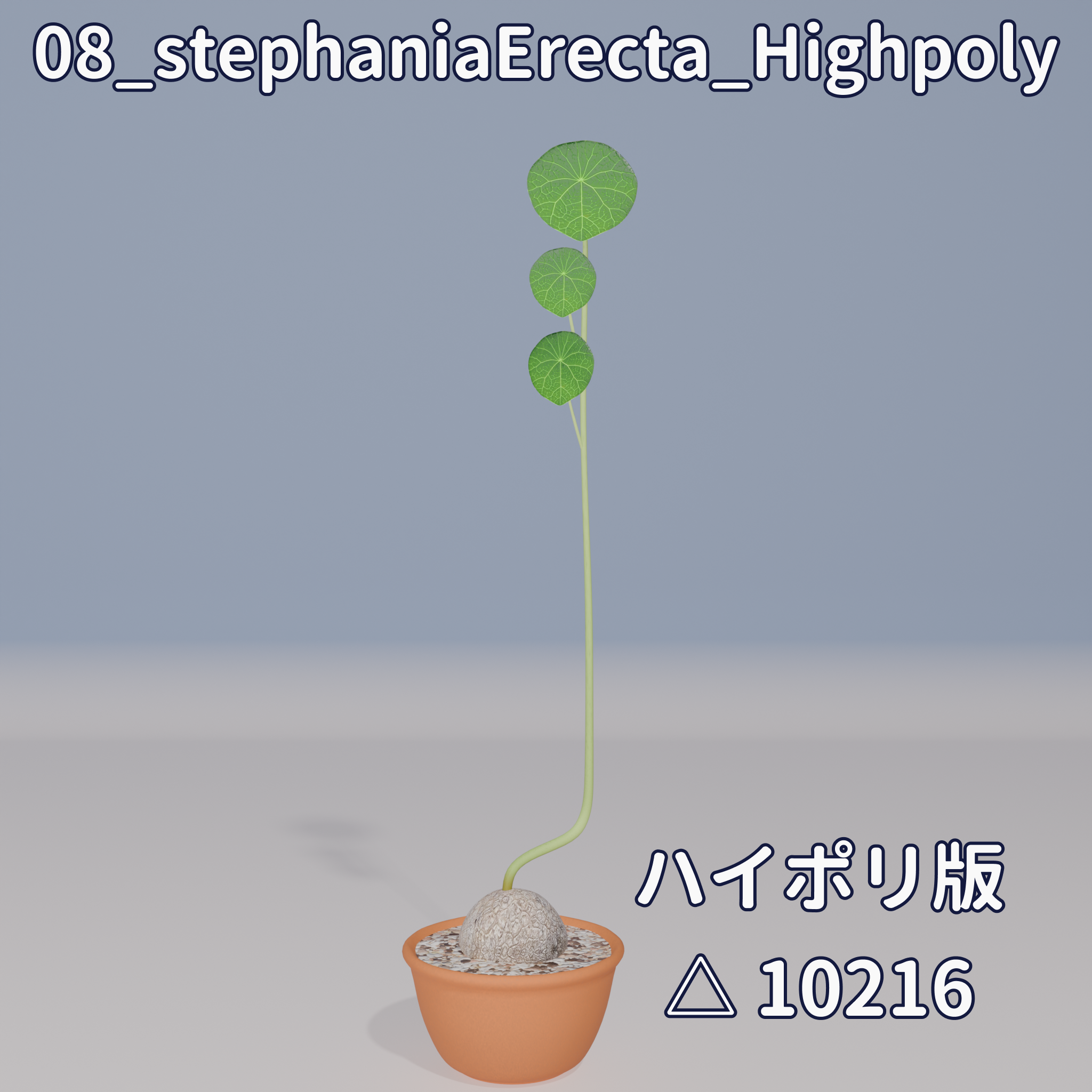 【VRC対応】ステファニア・エレクタ（Stephania Erecta） - agsai-3d - BOOTH