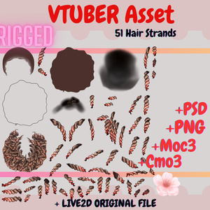 [Live2Dアイテム] Kawaii rigged vtuber Hair, Braids /psd, moc3, cmo3/ Vtuber ...