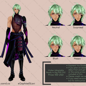Premade adoptable Live 2D Vtuber Model - Ready to rig PSD file. 6 ...