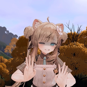 Lapwing - Face Tracking Add-on - hashedits - BOOTH