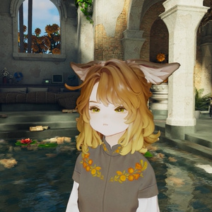 Lapwing - Face Tracking Add-on - hashedits - BOOTH