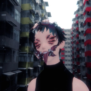 Lapwing - Face Tracking Add-on - hashedits - BOOTH