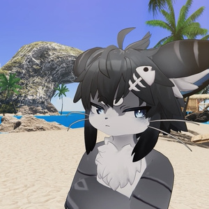 Lapwing - Face Tracking Add-on - hashedits - BOOTH