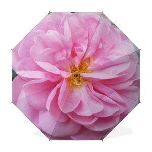 Mucha The Four Flowers "Carnation"・アクリルブロック - artiemestieri - BOOTH