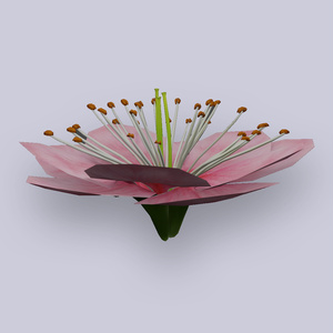 Flower Crown (花かんむり) - VRChat - Unity - thebitrex - BOOTH