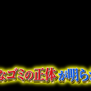 テロップ動き9種-2 エッセンシャルグラフィックス版 9 types of telop movement-2 Essential ...
