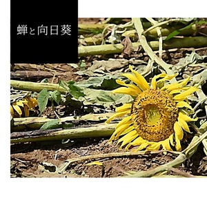 新しい生活 - Junk-boX - BOOTH